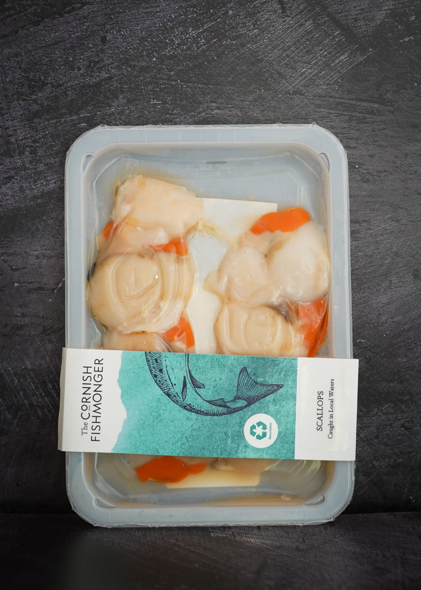 The Cornish Fishmonger Scallops – Tisbury Delicatessen